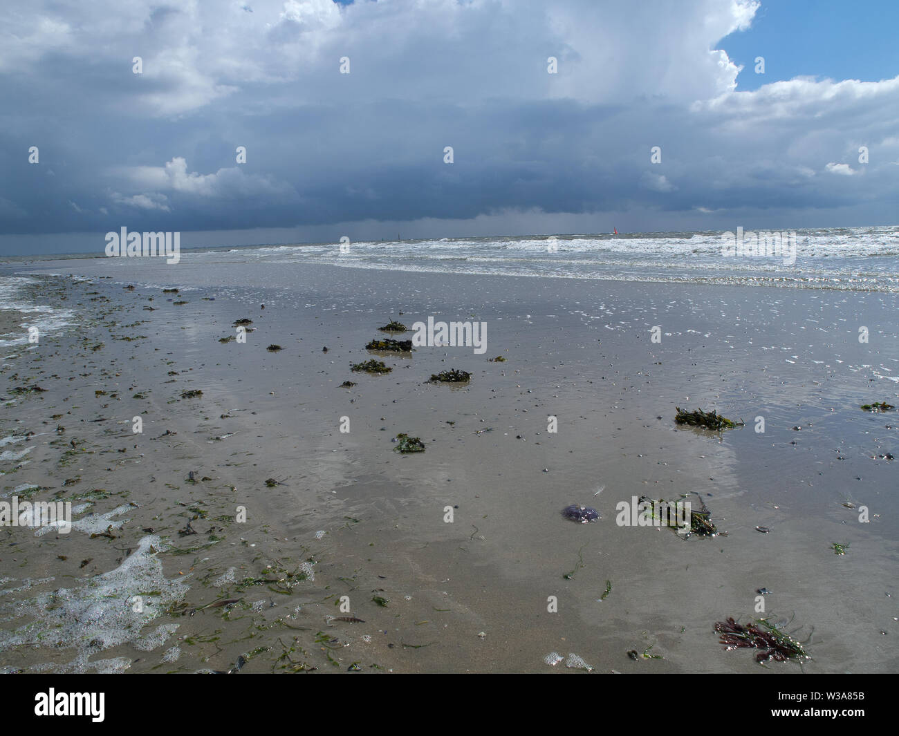 the beach of norderney Stock Photo - Alamy