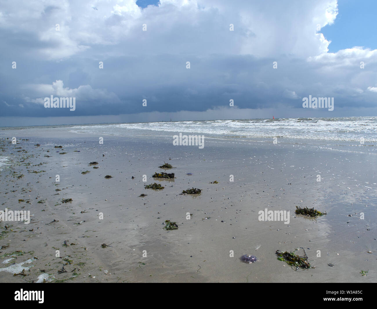 the beach of norderney Stock Photo - Alamy