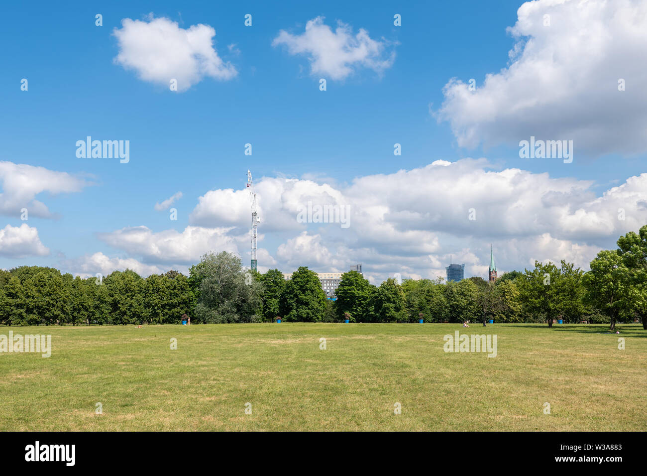 Park lawn background, large field of grass lined with trees and the sky ...