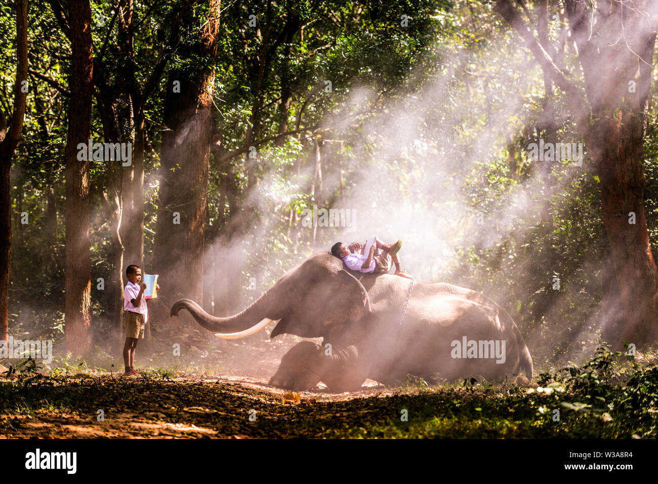 Elephant and school kid in asian jungle in Thailand - Thai elephant in ...