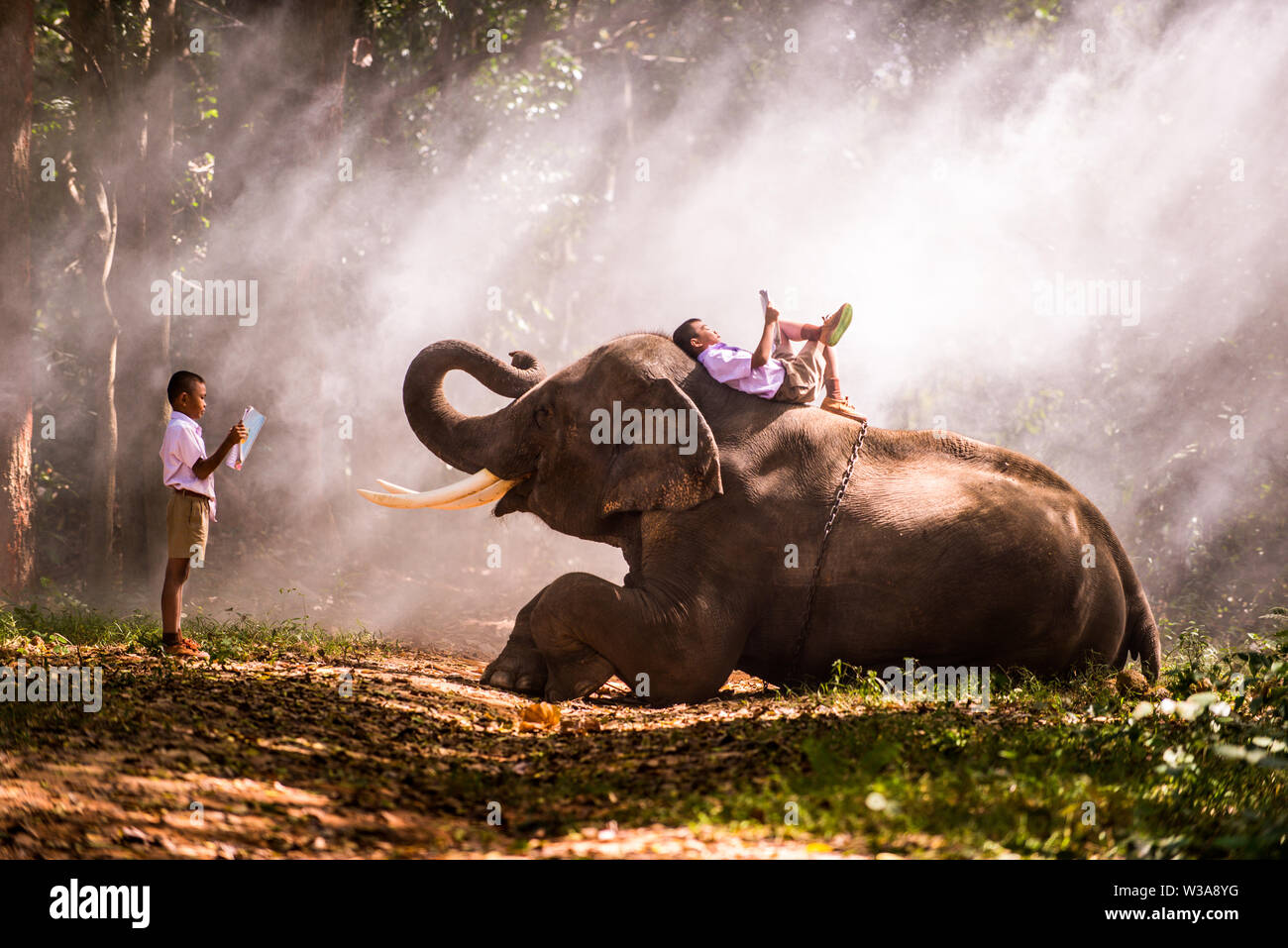Elephant and school kid in asian jungle in Thailand - Thai elephant in ...