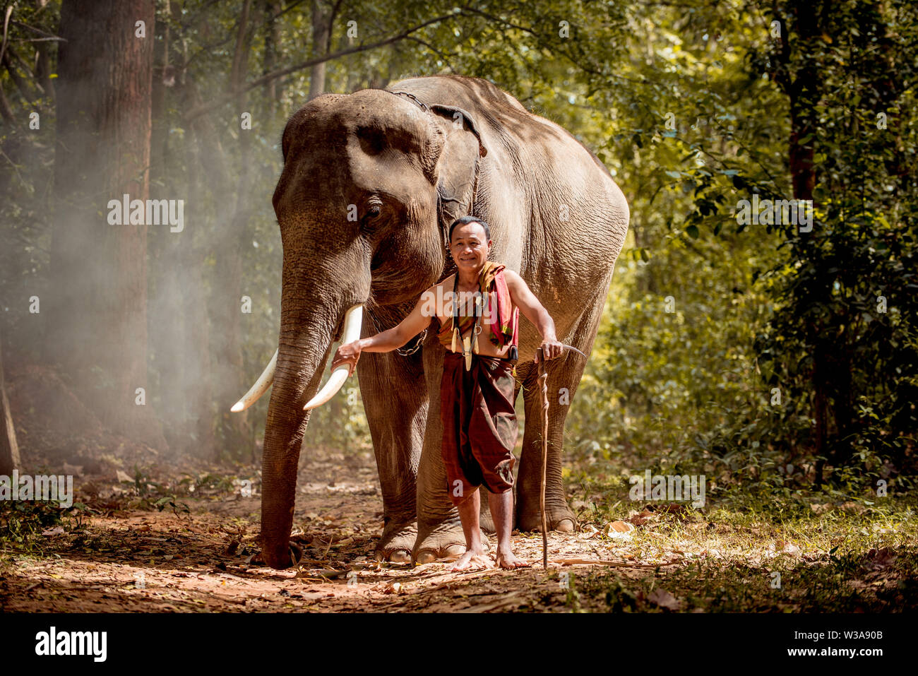 Farmer riding elephant hi-res stock photography and images - Alamy