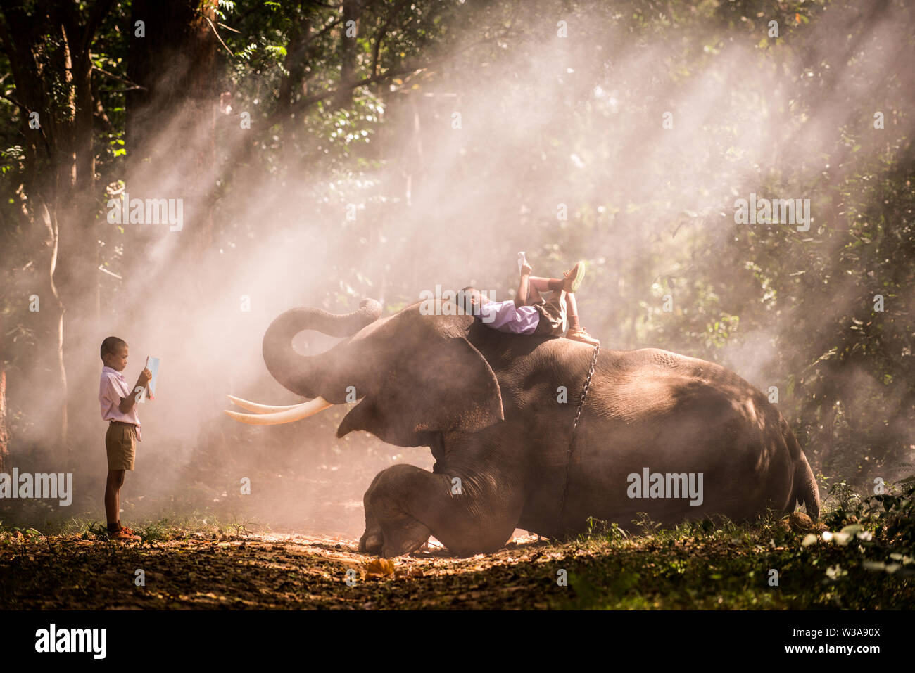 Elephant and school kid in asian jungle in Thailand - Thai elephant in ...
