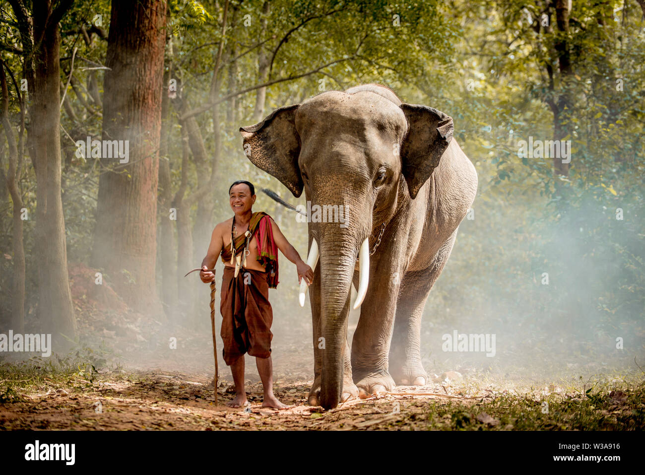 Elephant and farmer in asian countryside in Thailand - Thai elephant in ...