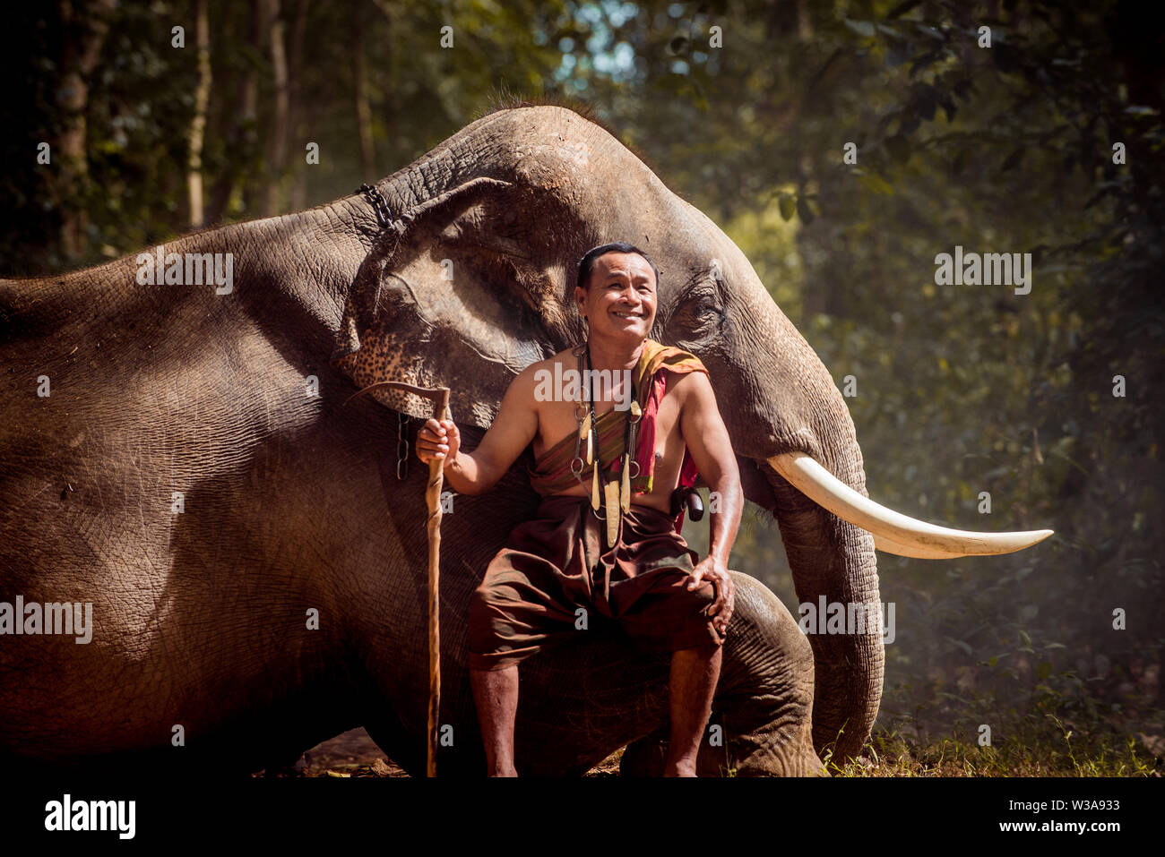 Elephant and farmer in asian countryside in Thailand - Thai elephant in ...