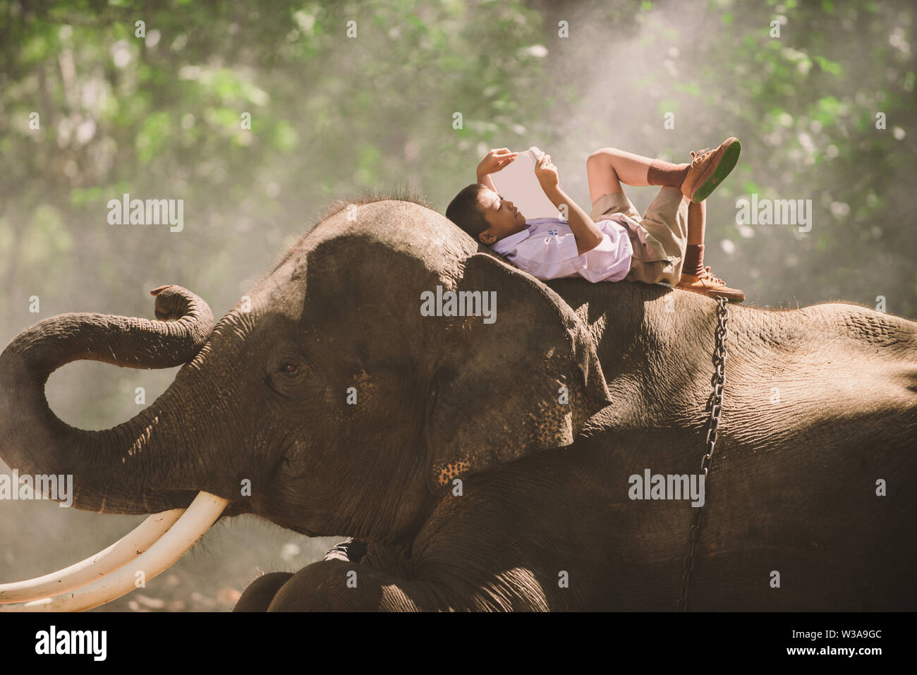 Elephant and school kid in asian jungle in Thailand - Thai elephant in ...