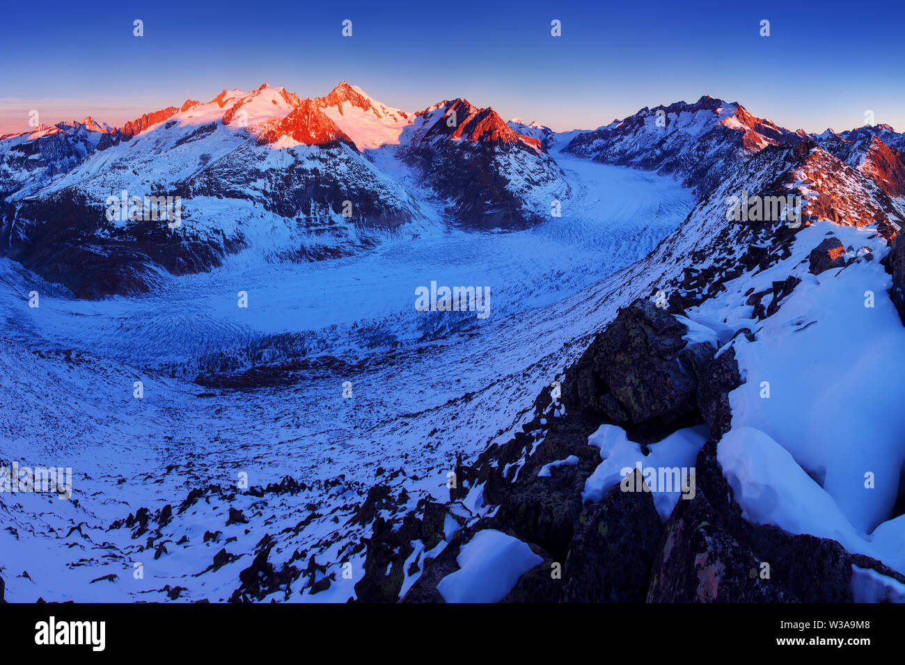 Majestic panoramic view of Aletsch glacier, the largest glacier in Alps ...