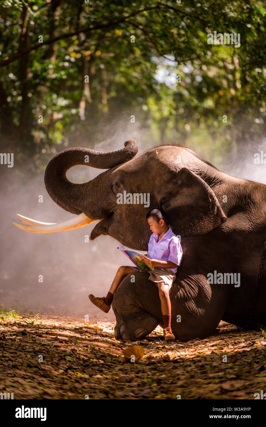 Elephant and school kid in asian jungle in Thailand - Thai elephant in ...