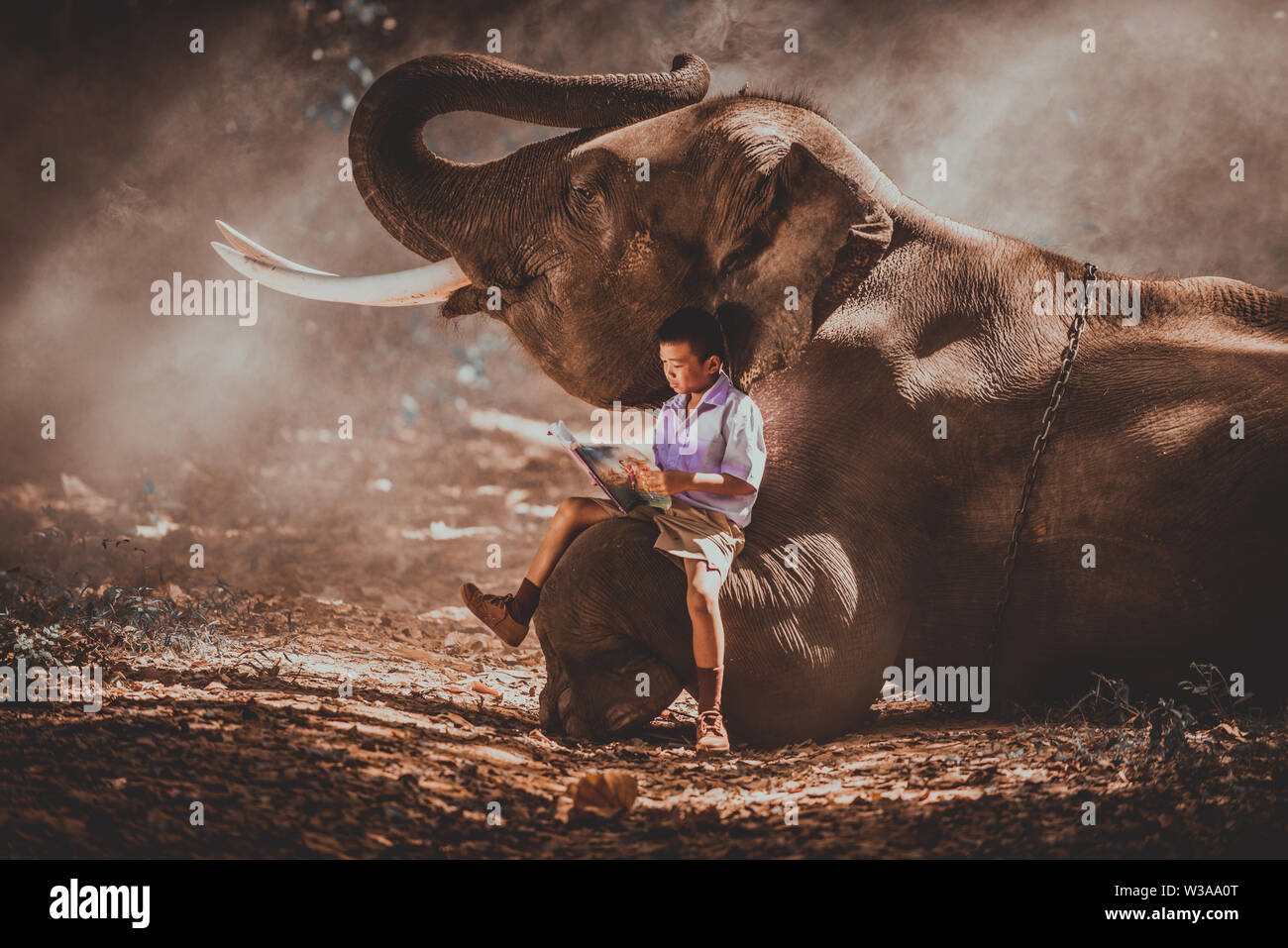 Elephant and school kid in asian jungle in Thailand - Thai elephant in ...