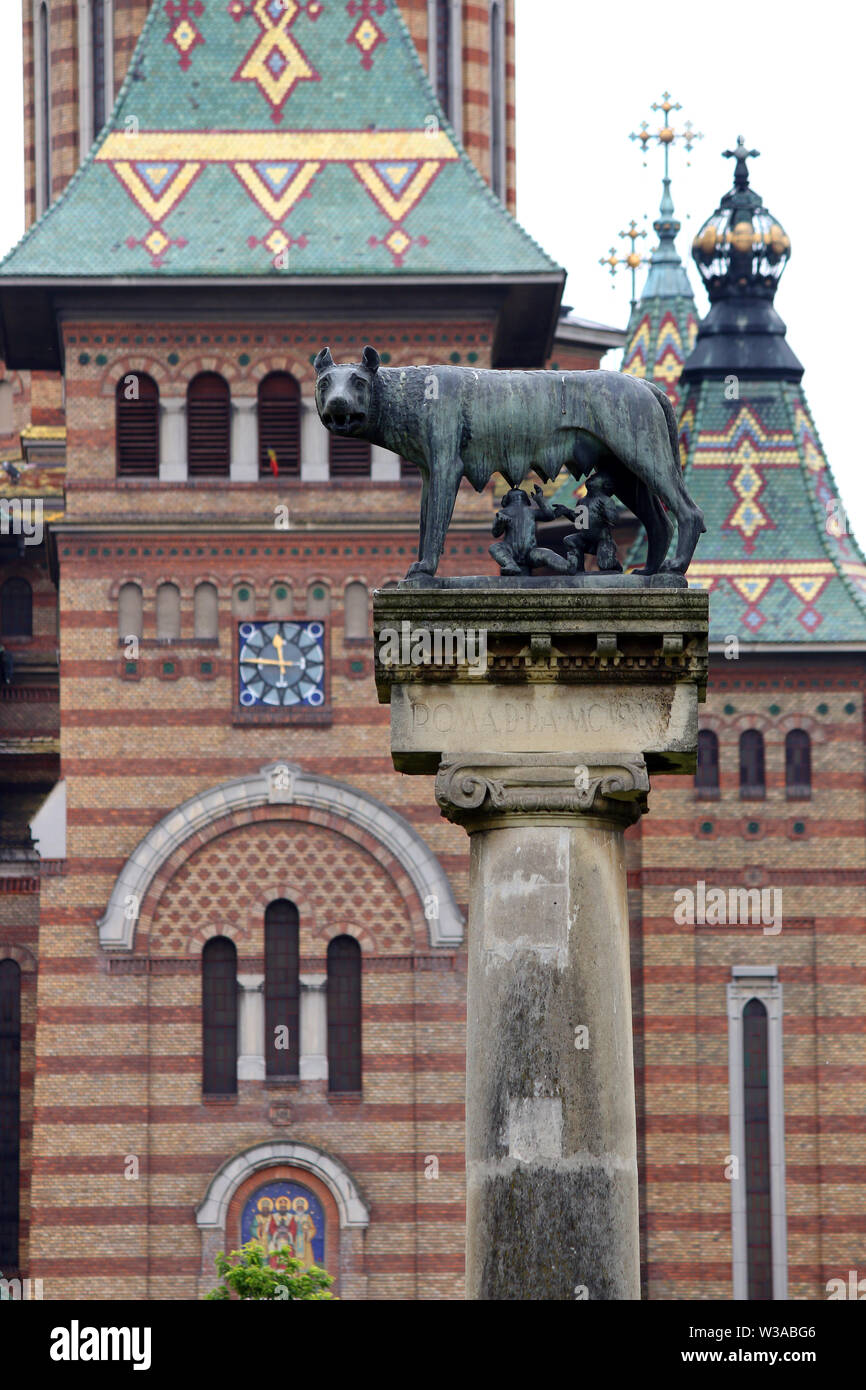 Wolf statue symbol of Timisoara Romania Stock Photo - Alamy