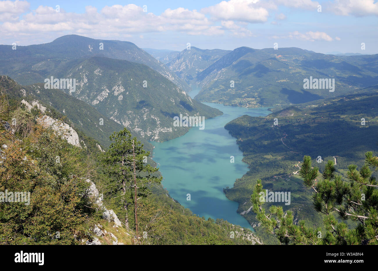 viewpoint Banjska stena Tara mountain landscape in summer Serbia Stock ...