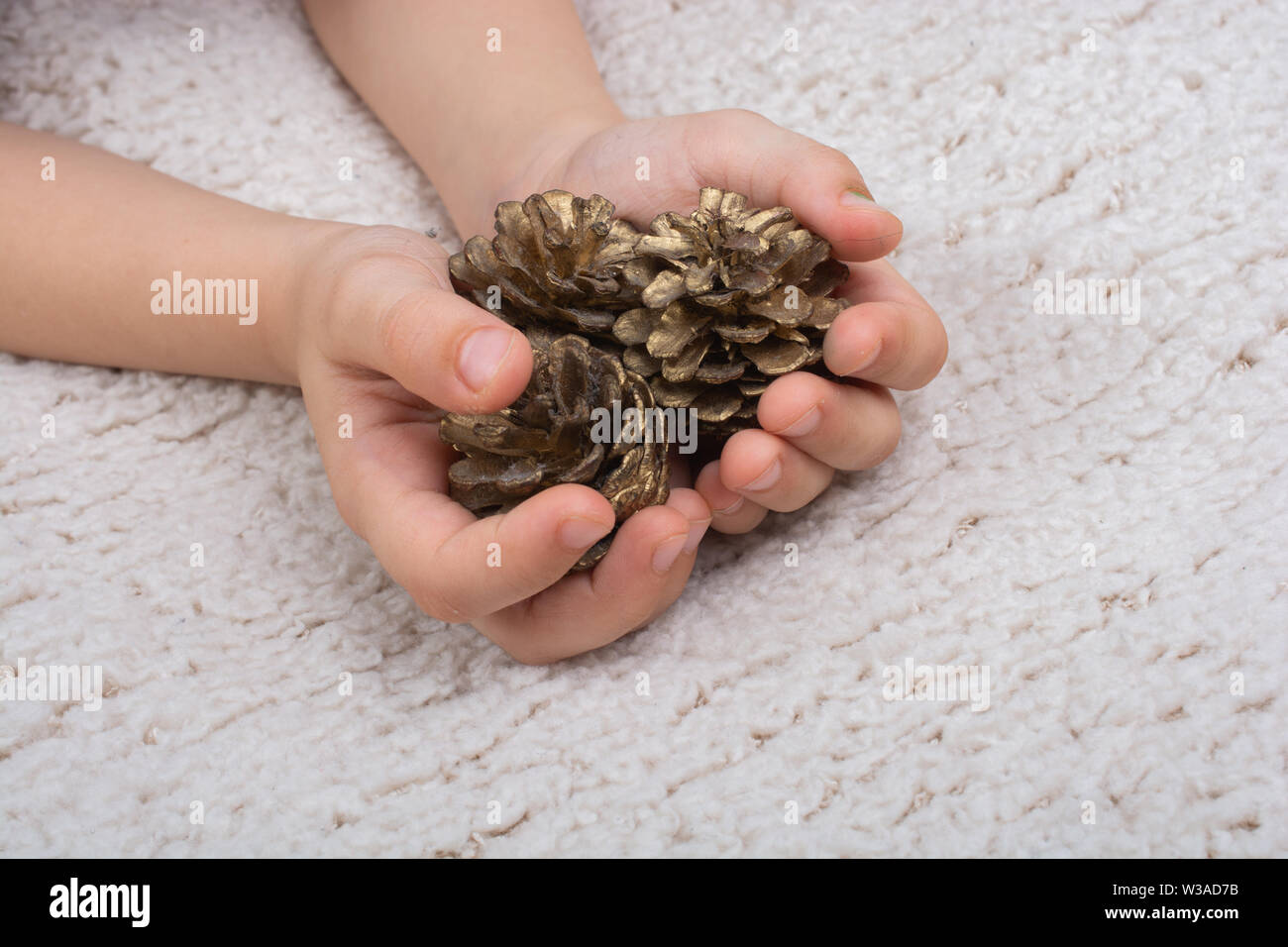 Little boy holding pine cones in hand on white background Stock Photo ...