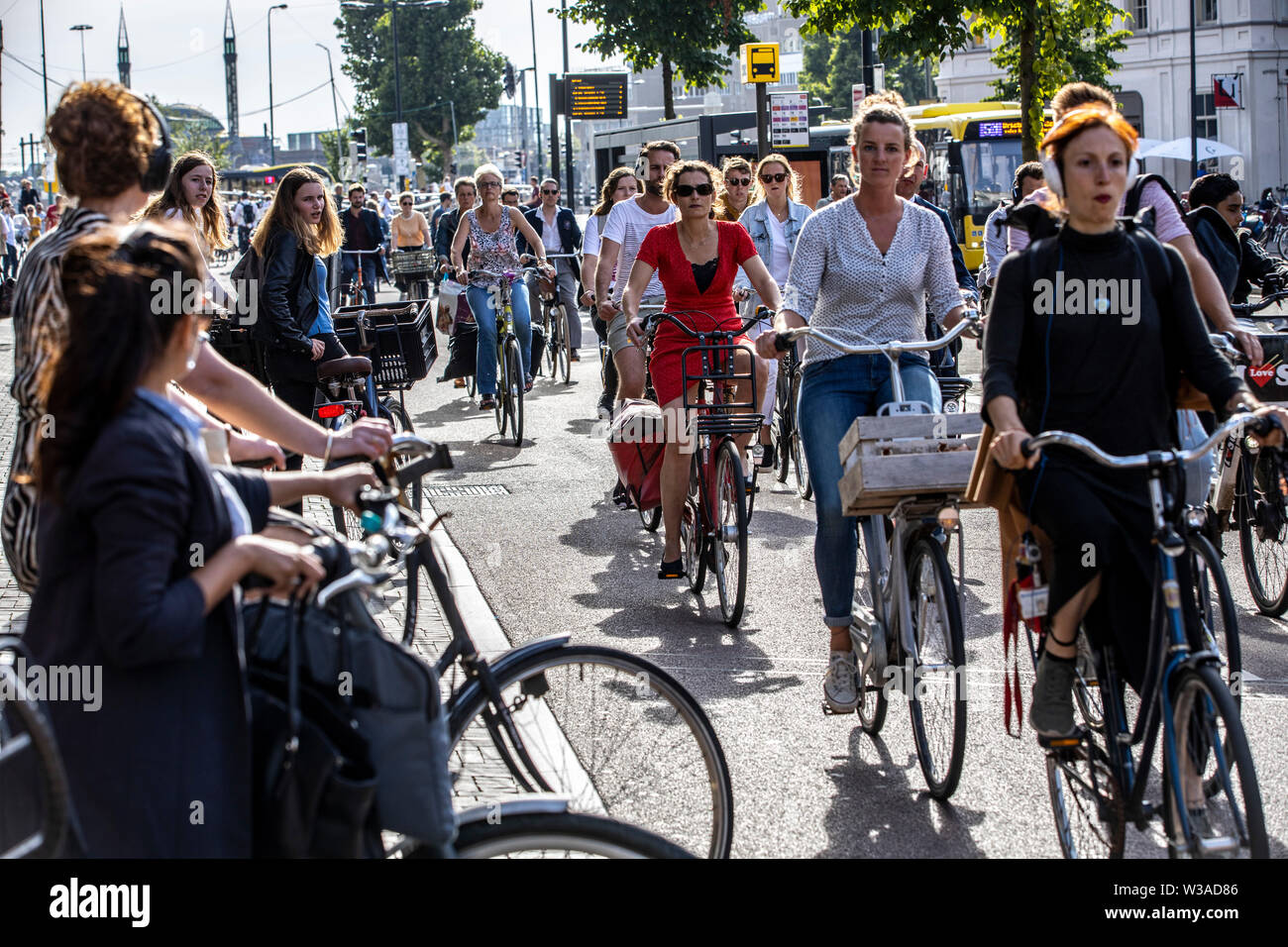 Utrecht, the Netherlands, bicycle traffic in the city center, 60% of ...
