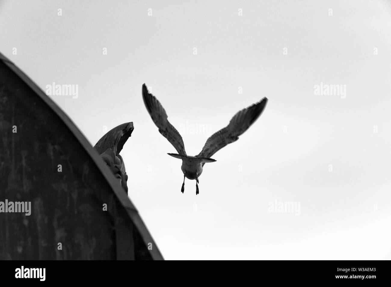 Gull wing roof Black and White Stock Photos & Images - Alamy