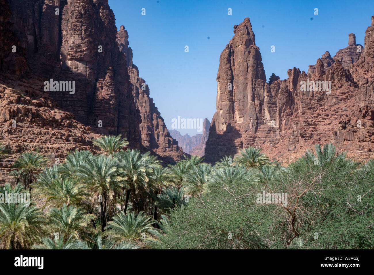 Tabuk saudi arabia hi-res stock photography and images - Alamy