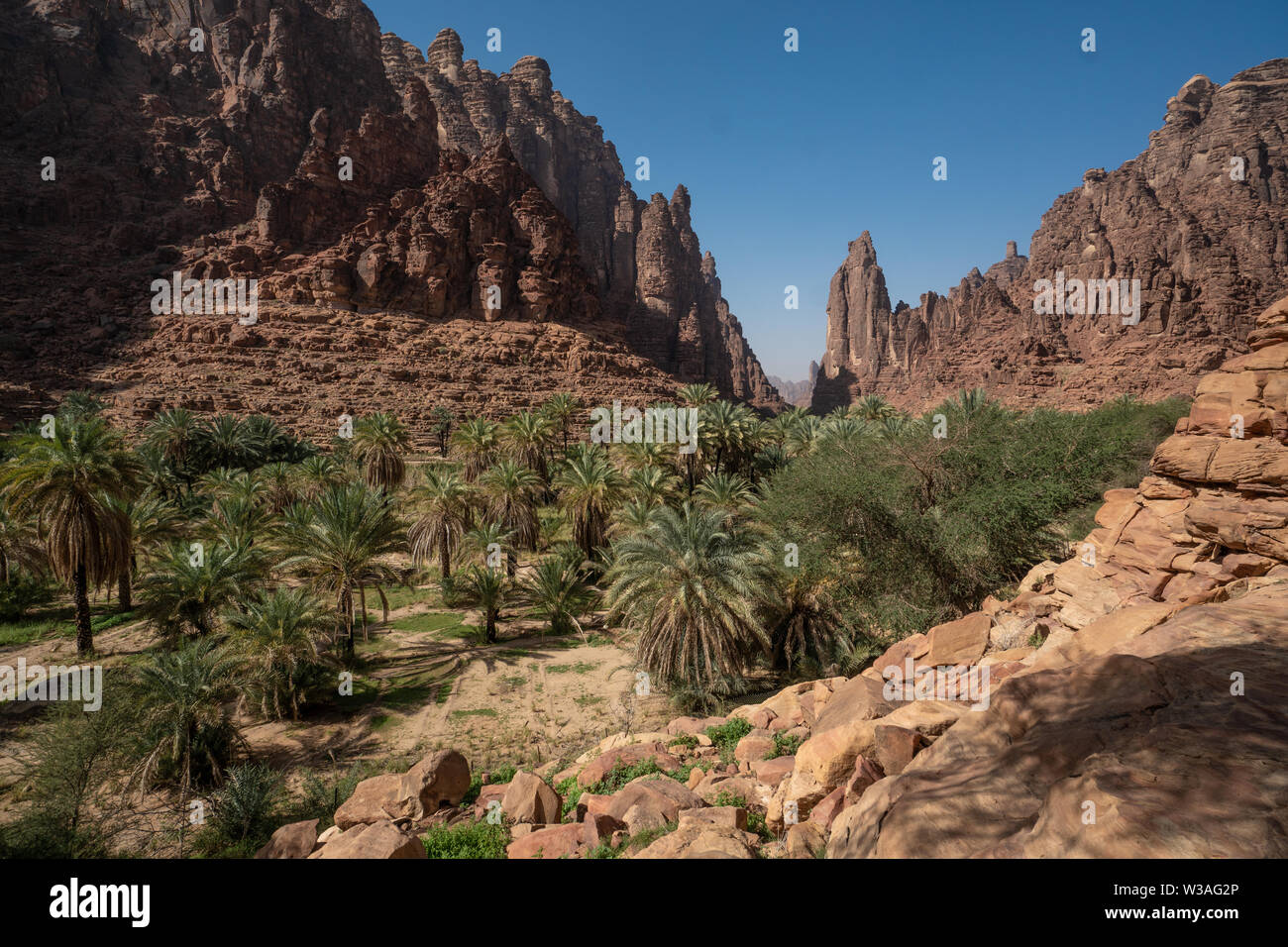 Rock and oasis scenes in Wadi Disah in Tabuk Region, Saudi Arabia Stock ...