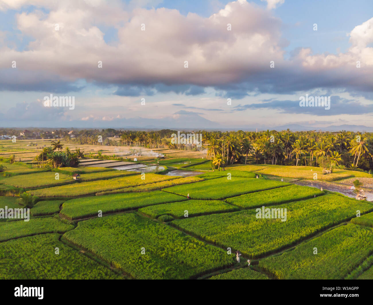 Rice Terrace Aerial Shot. Image of beautiful terrace rice field Stock ...