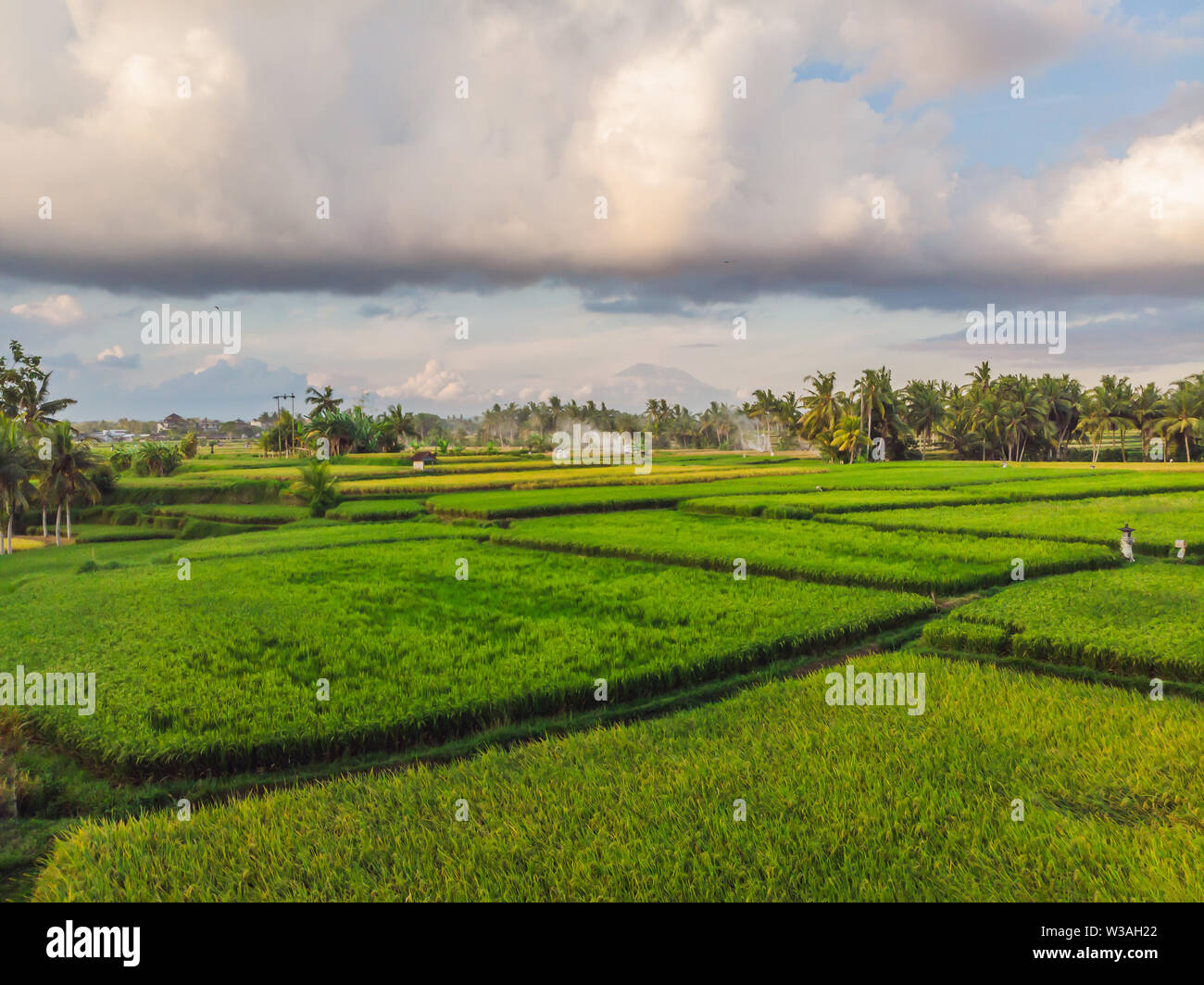 Rice Terrace Aerial Shot. Image of beautiful terrace rice field Stock ...