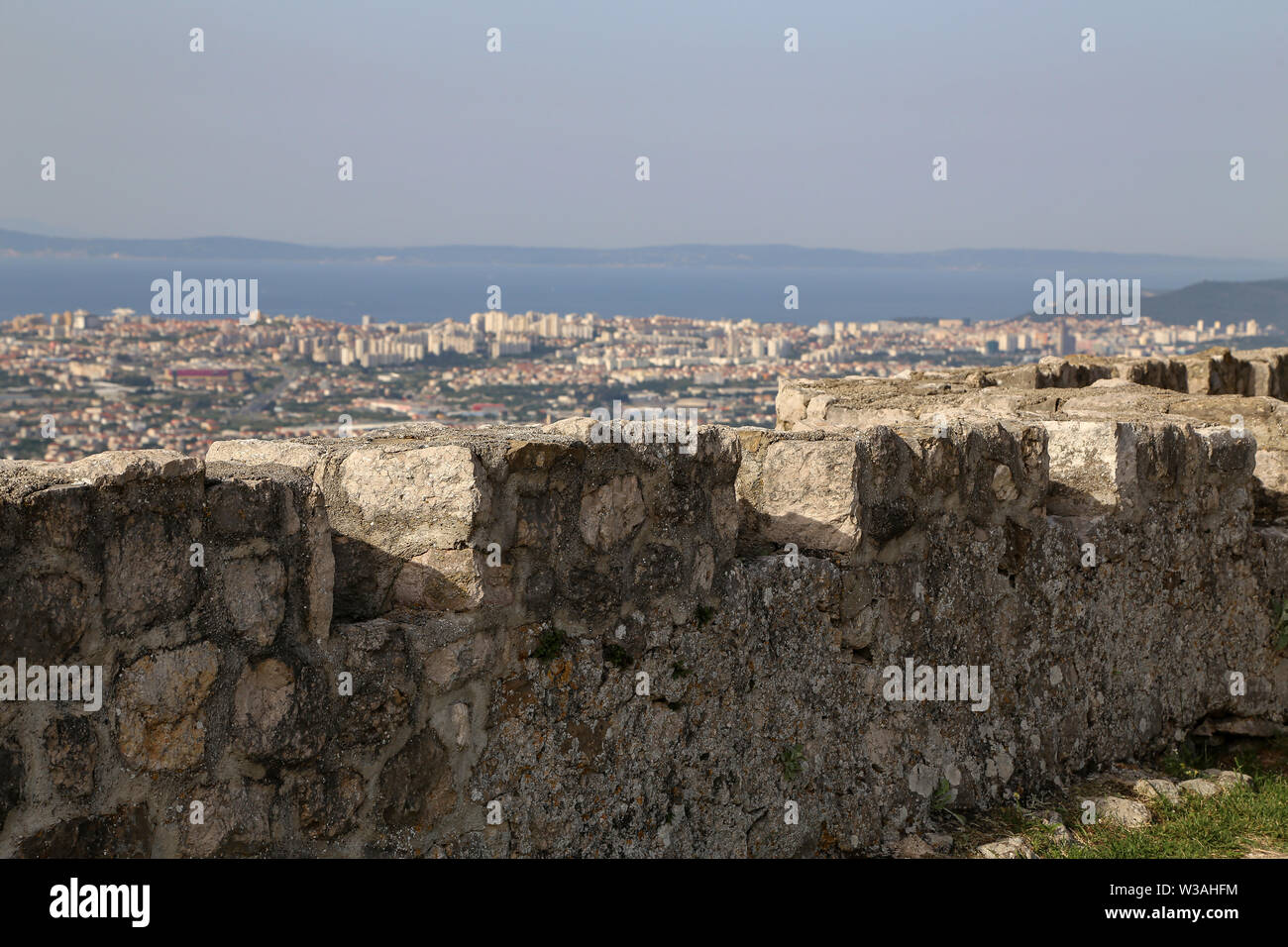 Dalmatae hi-res stock photography and images - Alamy