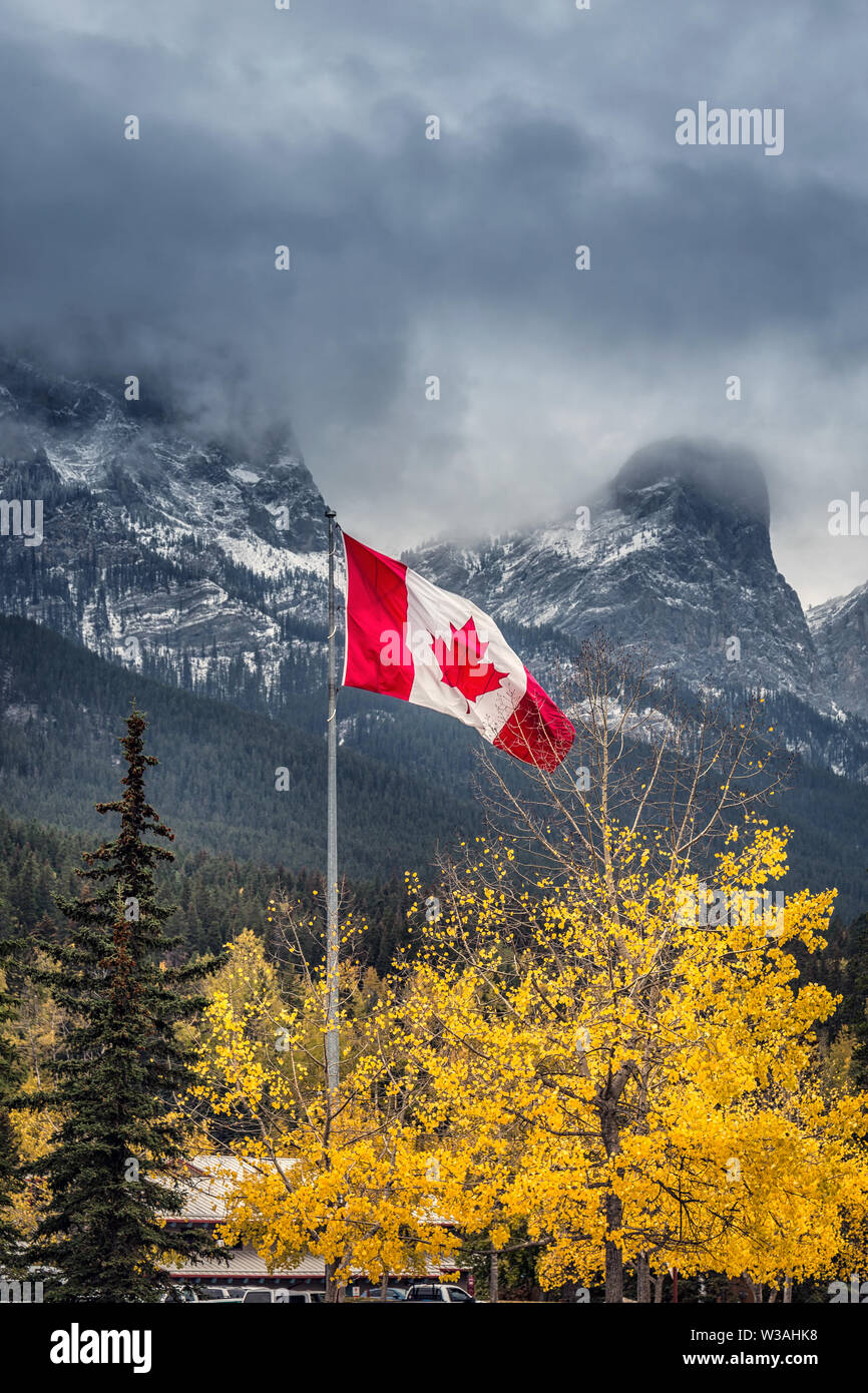 Canadian flag with yellow larch near Canmore, Banff National Park ...