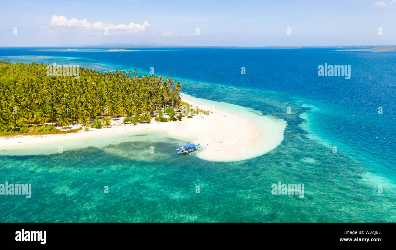 Tropical island of white sand with coconut trees. Boat with tourists on ...