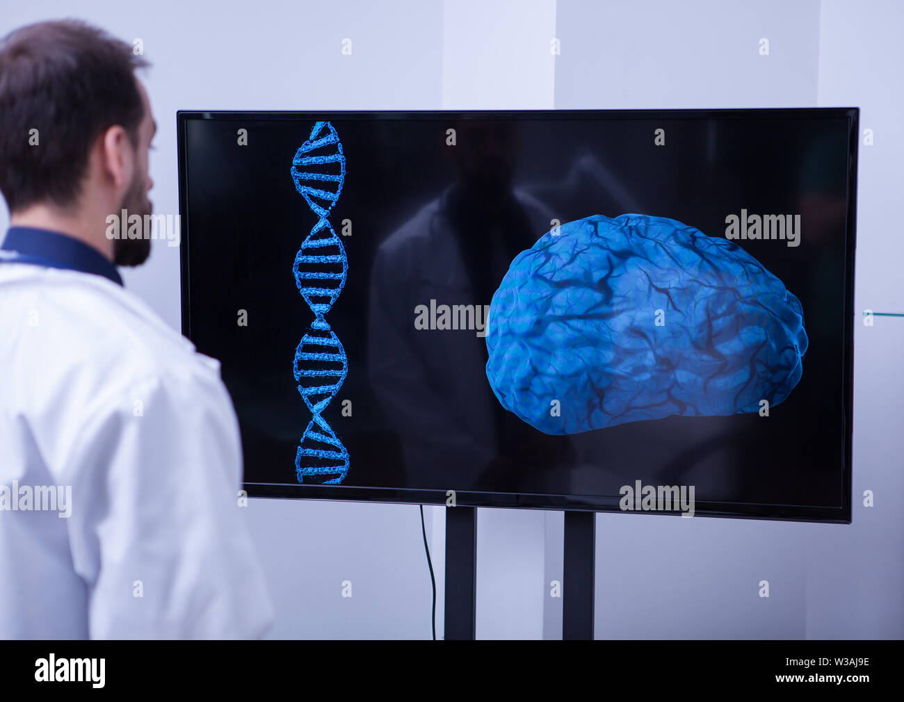 Young radiologist analysing a healthy brain in the hospital laboratory ...