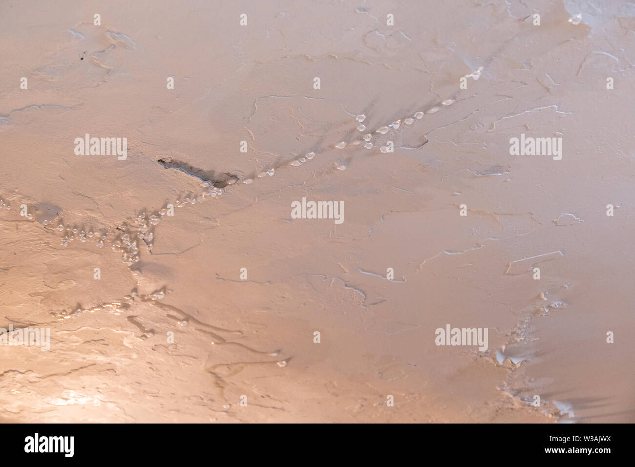 Water dripping from leaking ceiling, water damge concept Stock Photo ...