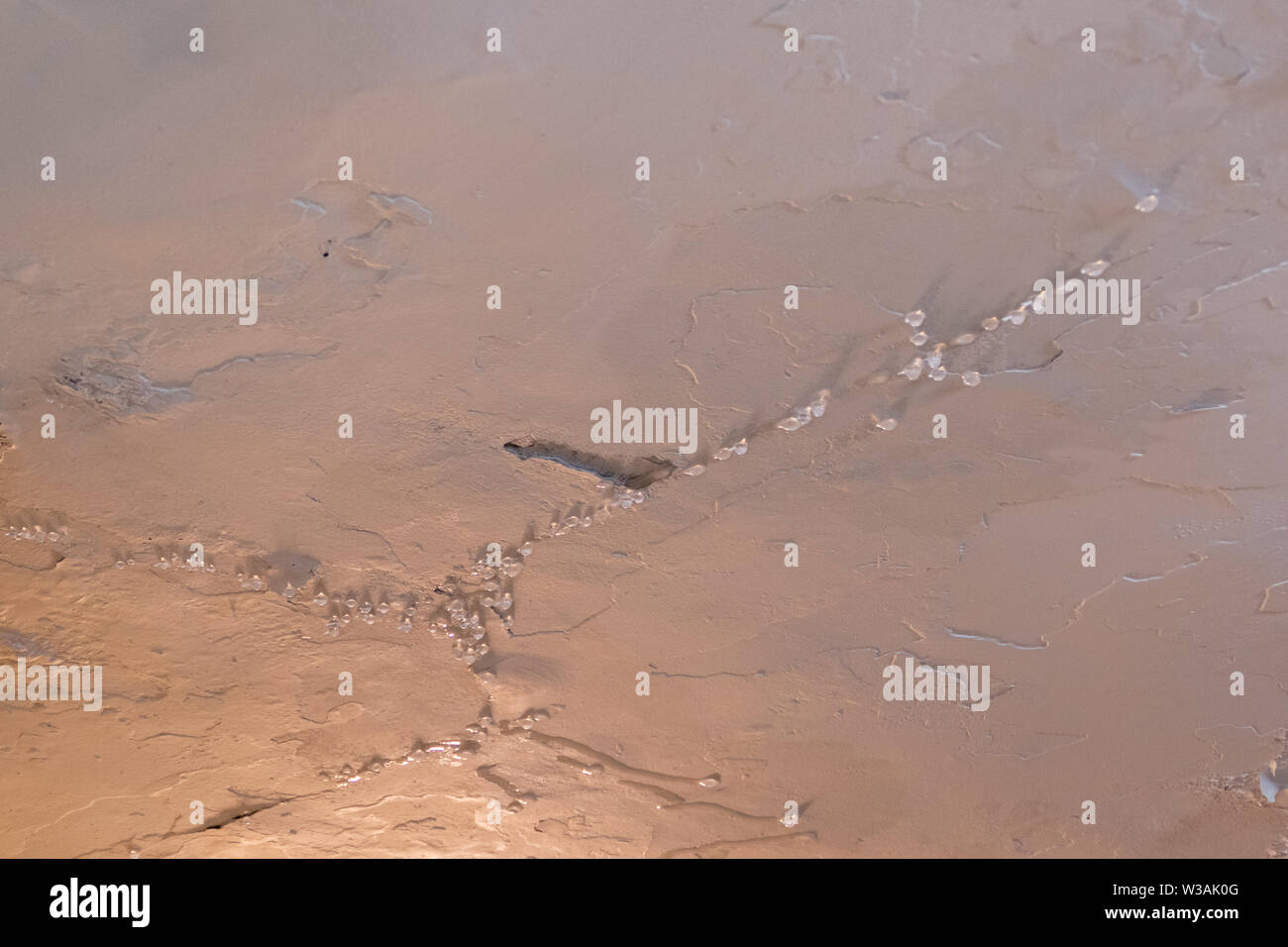 Water dripping from leaking ceiling, water damge concept Stock Photo ...