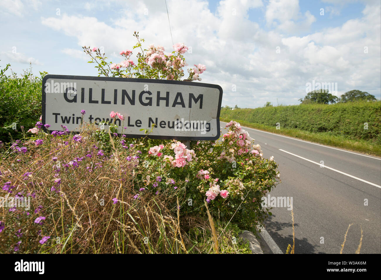 Road sign flowers hi-res stock photography and images - Alamy