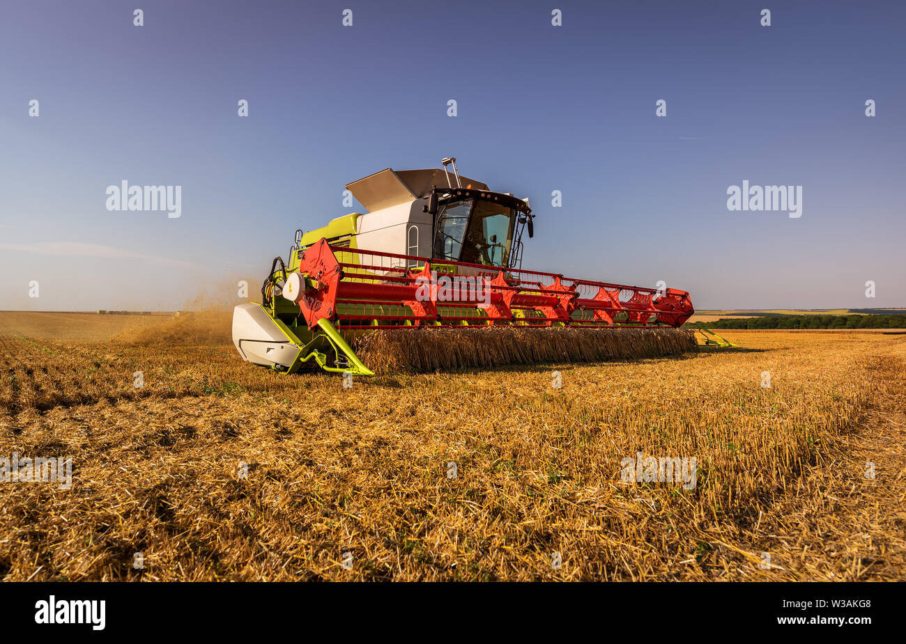 Combine harvester in action on wheat field Stock Photo - Alamy