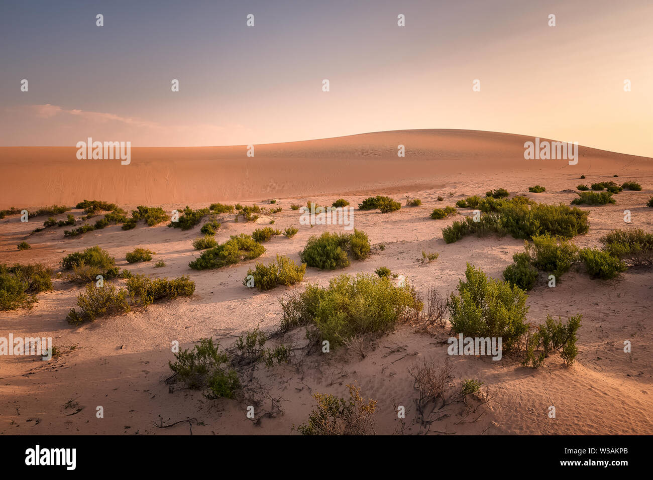 Beautiful Sunrise in Dammam Saudi Arabia Desert Stock Photo - Alamy
