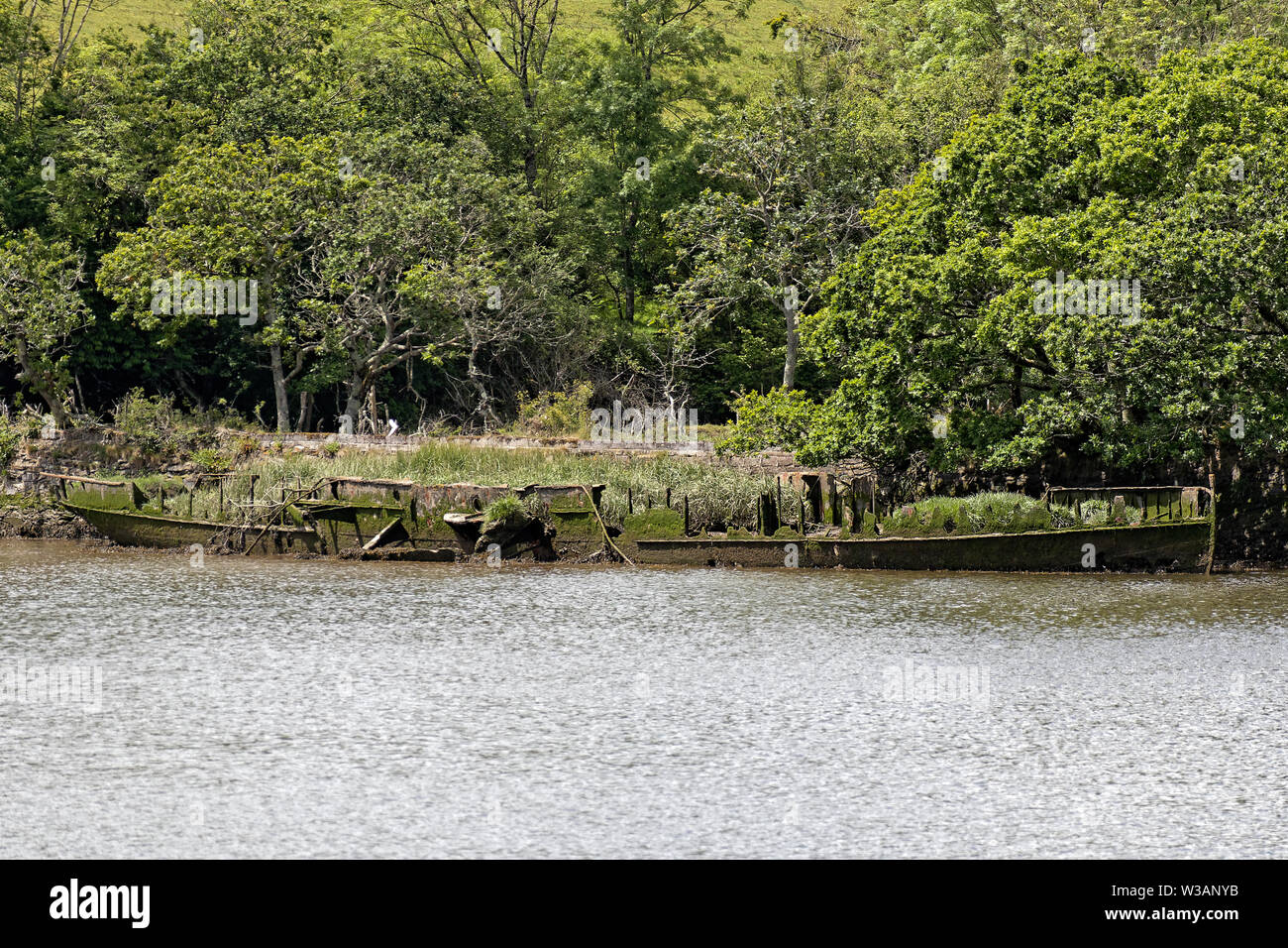 Wreck of the 1904 Kingswear Castle Paddle Steamer Stock Photo - Alamy