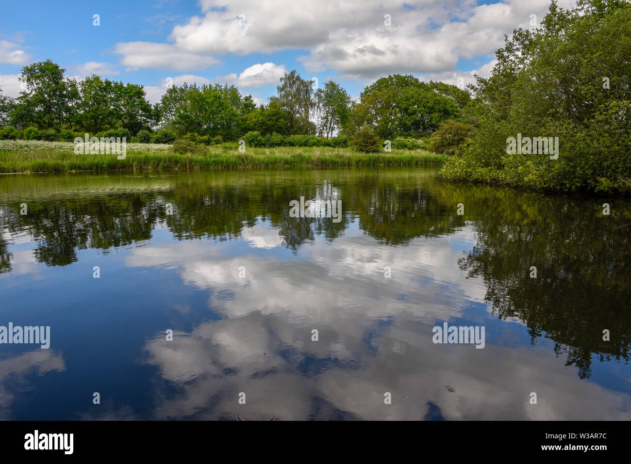 Landscape of the lake at Vestbirk on Denmark Stock Photo - Alamy