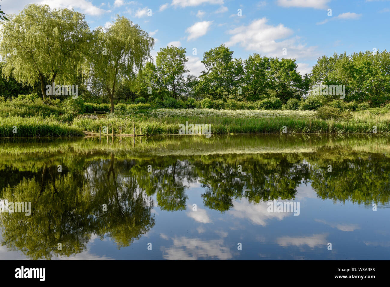 Landscape of the lake at Vestbirk on Denmark Stock Photo - Alamy