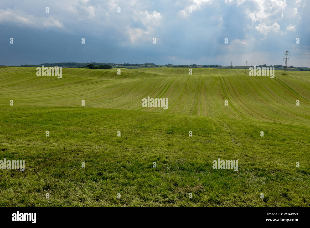 Meadow field denmark hi-res stock photography and images - Alamy