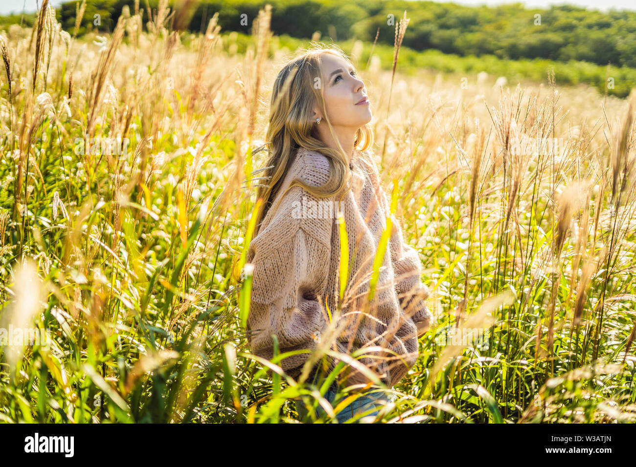 Young beautiful woman in autumn landscape with dry flowers, wheat ...