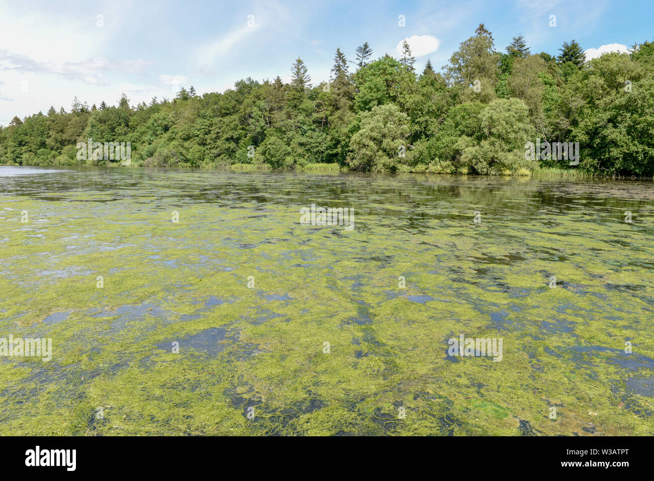 Danmark Landscape High Resolution Stock Photography and Images - Alamy