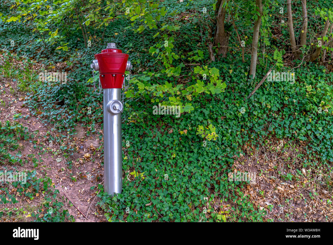 Modern hydrant stands in nature in summer Stock Photo - Alamy