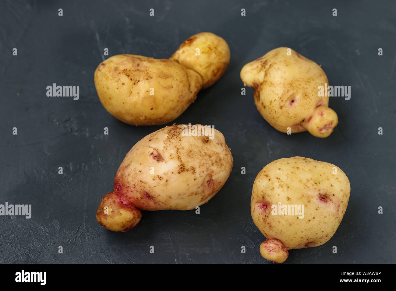 Ugly organic abnormal vegetables - potatoes on dark background, Concept ...