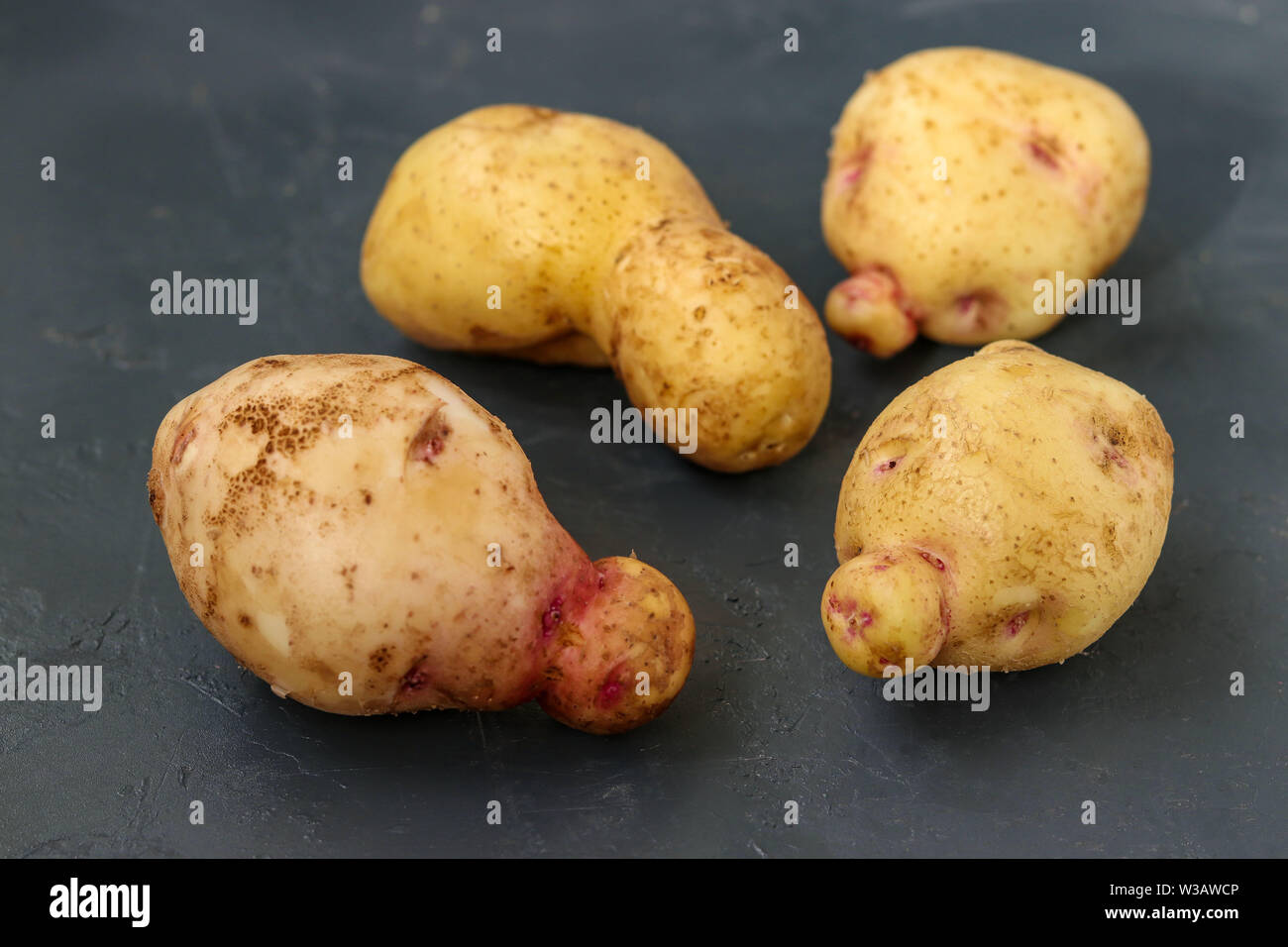Ugly organic abnormal vegetables - potatoes on dark background, Concept ...