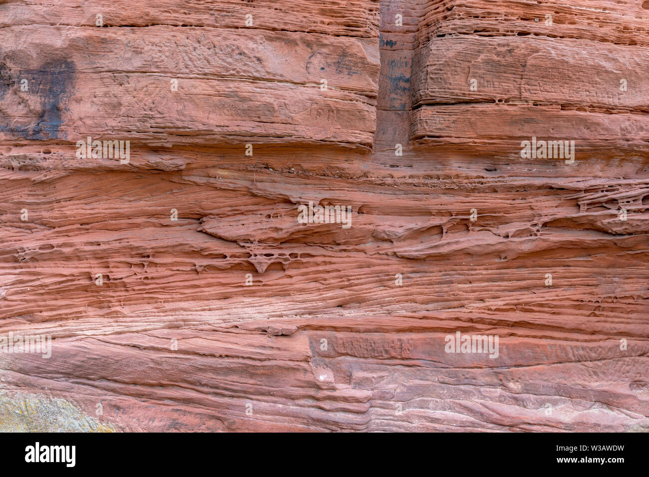 Colorful sandstone weathered at Trifels Castle Stock Photo - Alamy