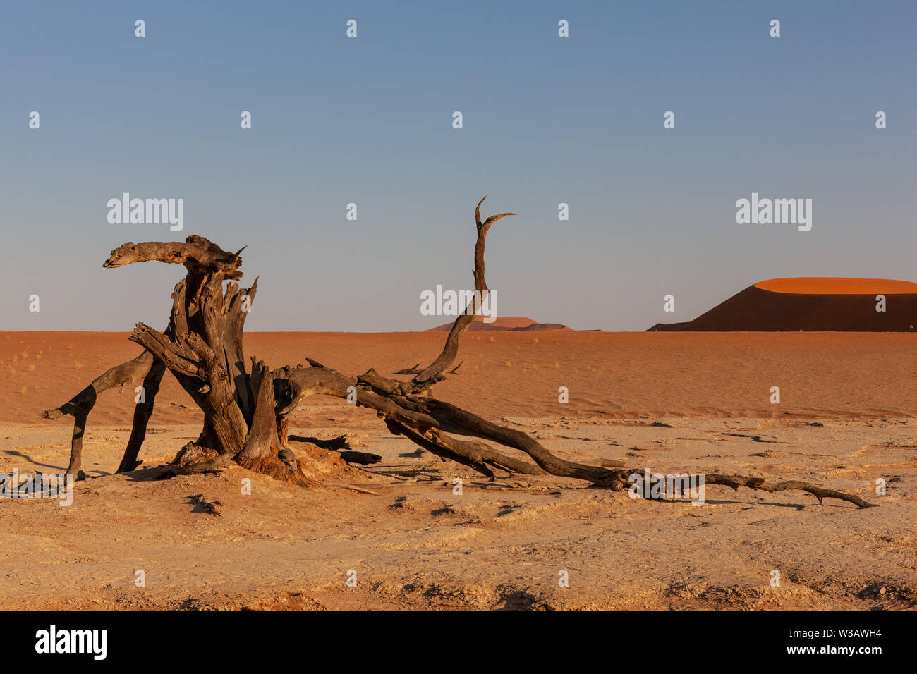 Time takes its toll Stock Photo - Alamy