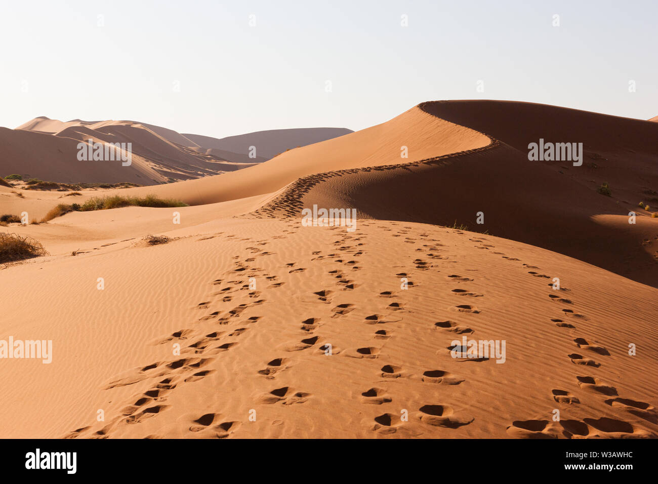 Footsteps up Big Mamma Stock Photo - Alamy
