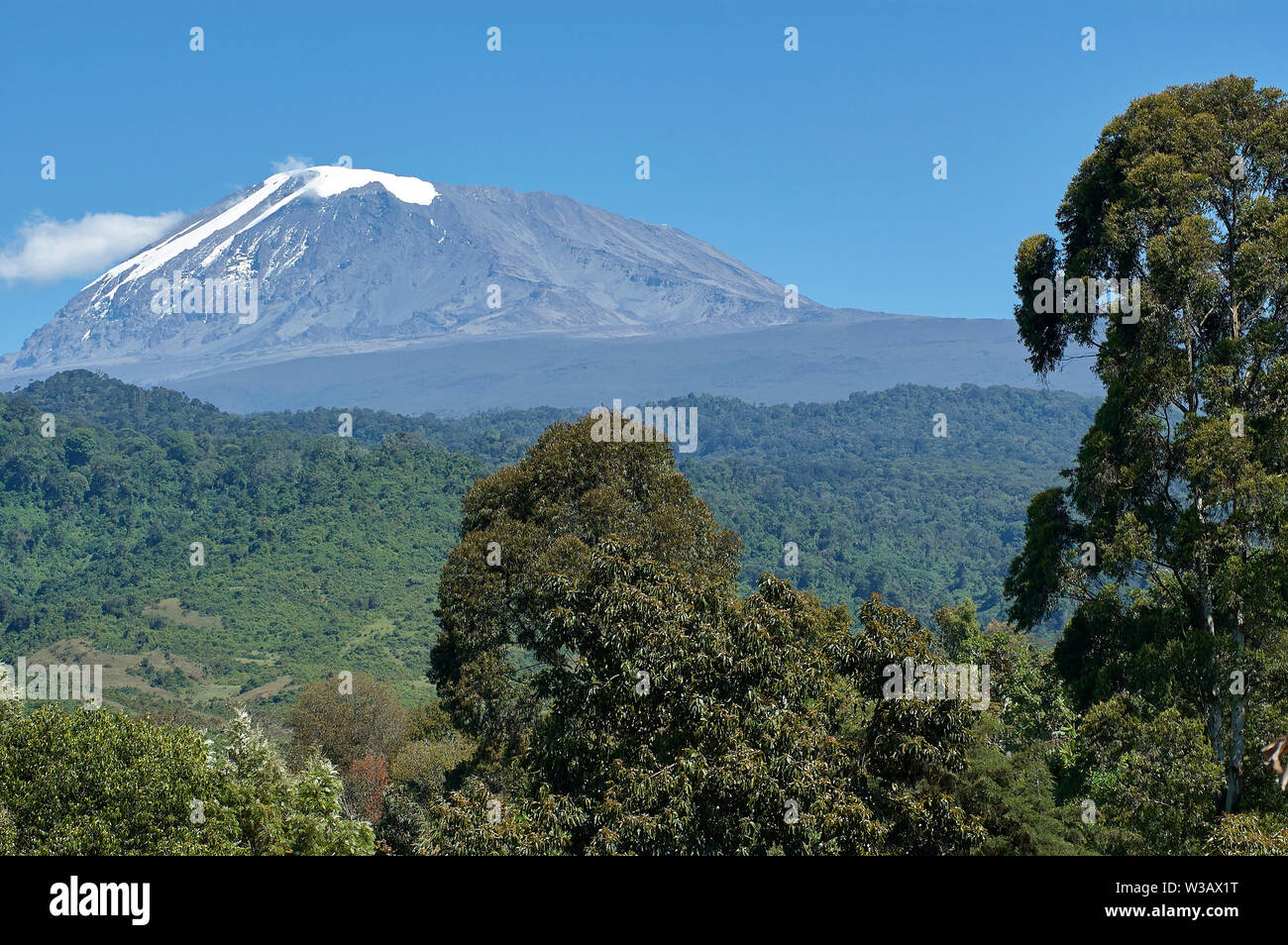 Kibo peak of Mt. Kilimanjaro as seen from Maua village Stock Photo - Alamy