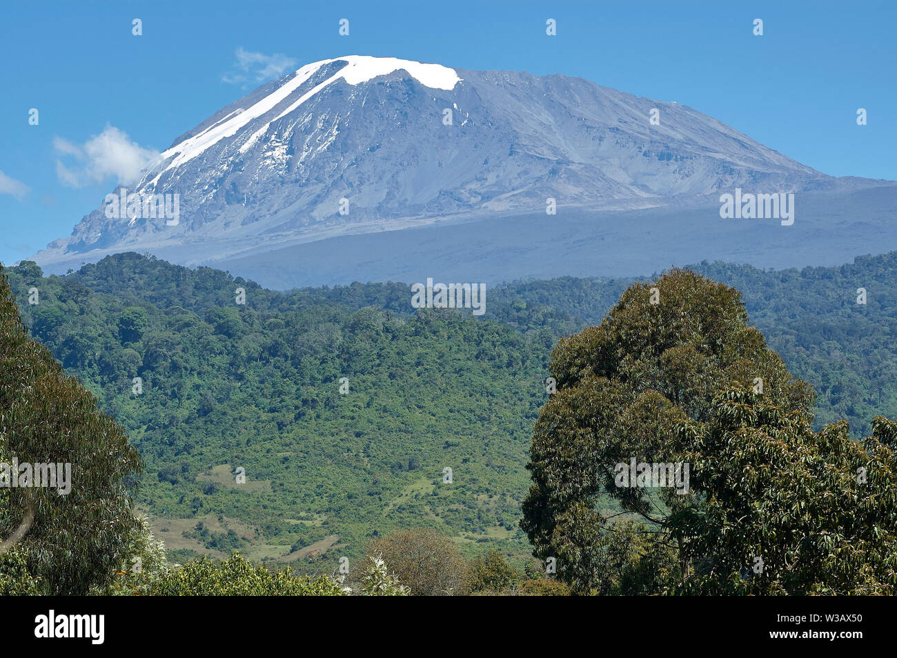 Kibo peak of Mt. Kilimanjaro as seen from Maua village Stock Photo - Alamy