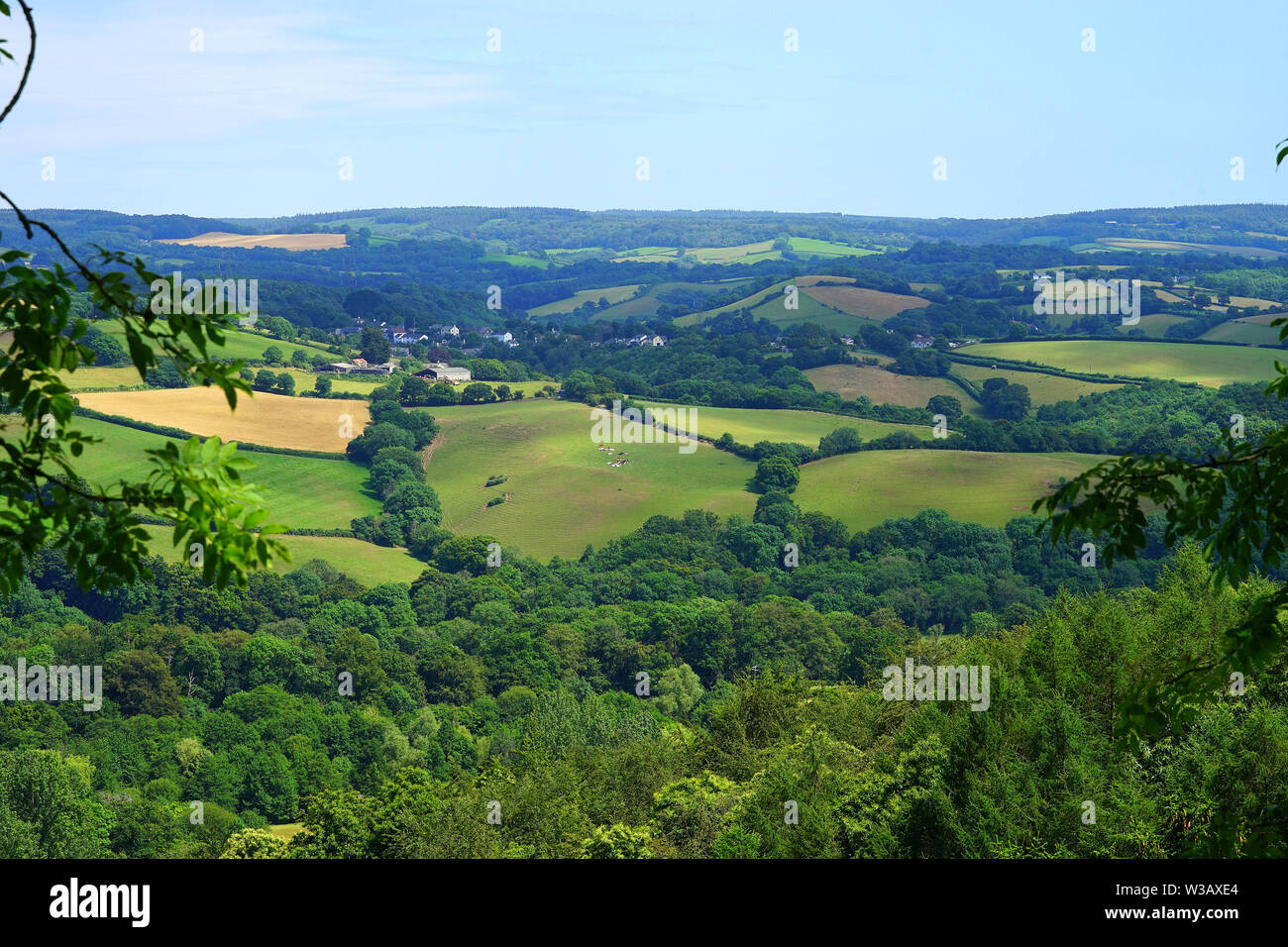 A view across the Devon countryside from the top of the Canonteign ...