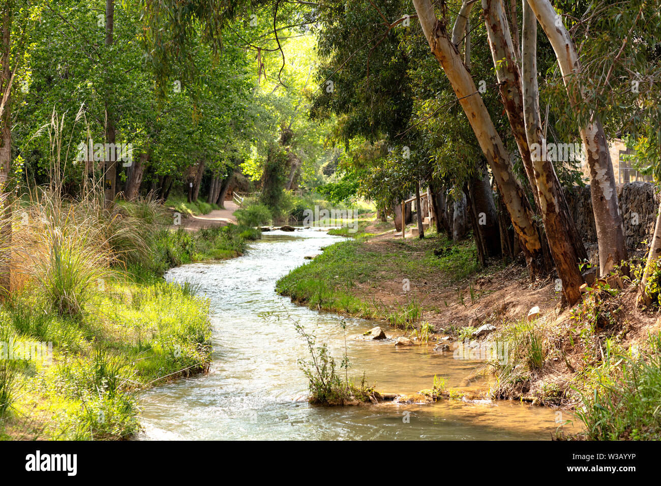 water route with river flowing in the center and the pathway on the ...