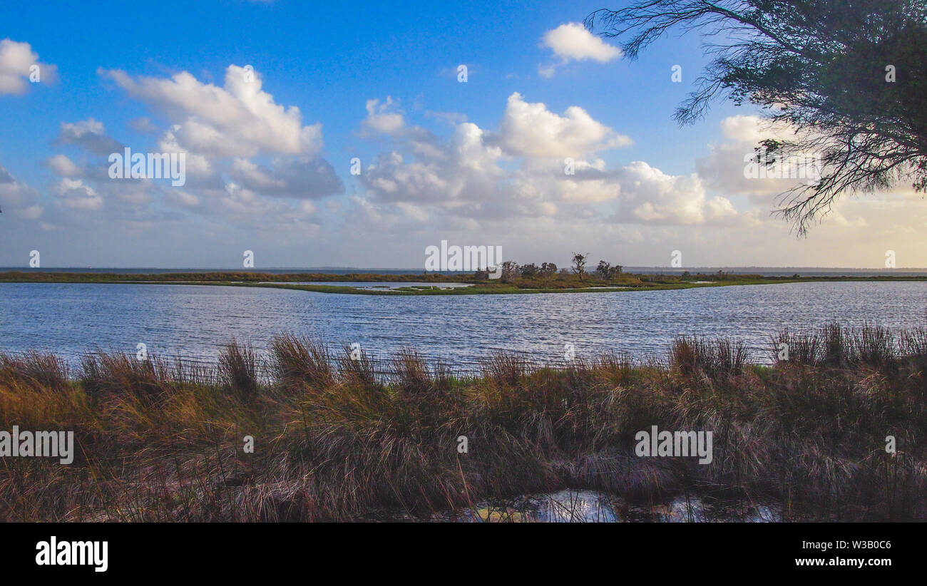 Len Howard Conservation Park near Mandurah, Western Australia Stock ...