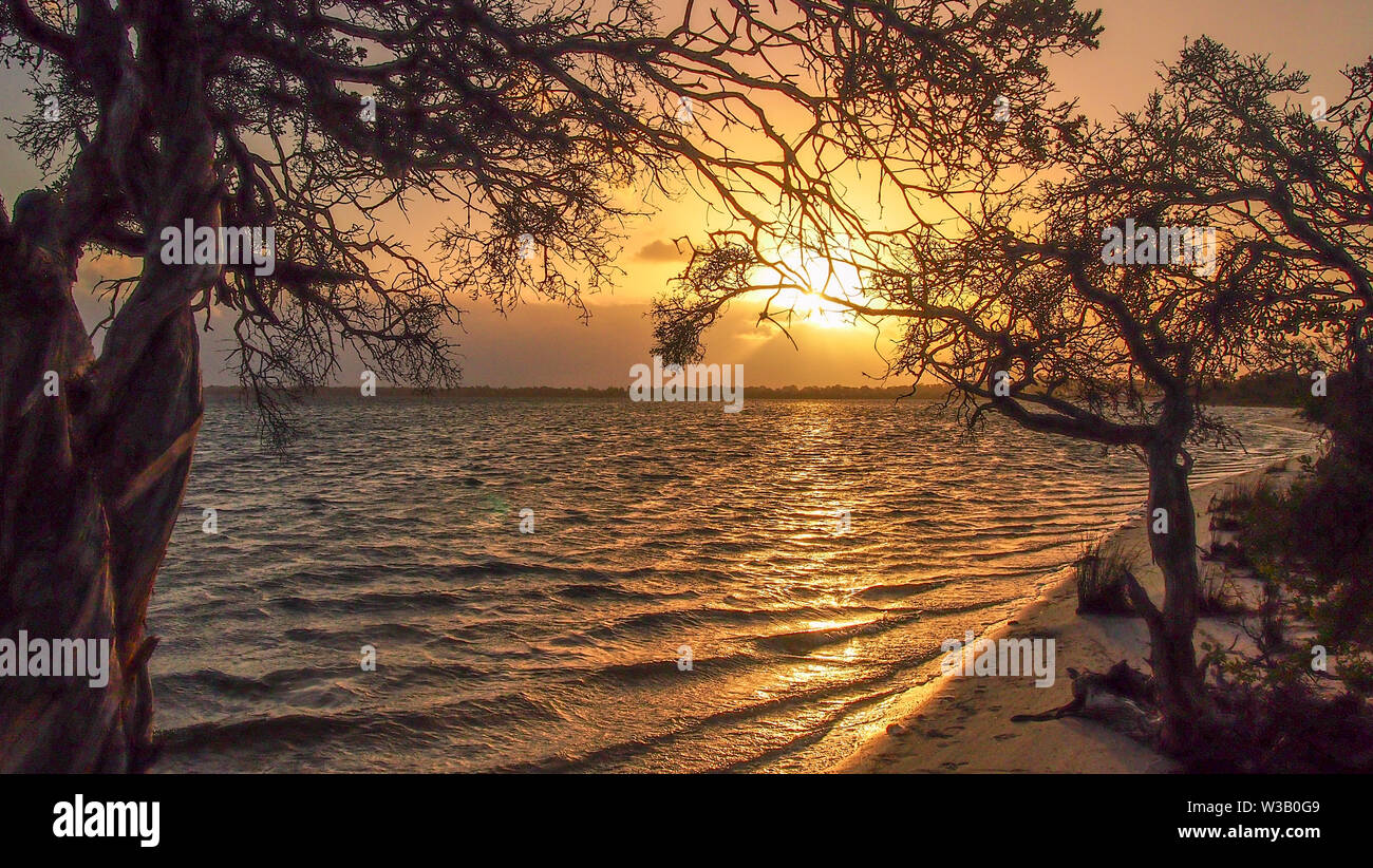 Night island conservation area hi-res stock photography and images - Alamy