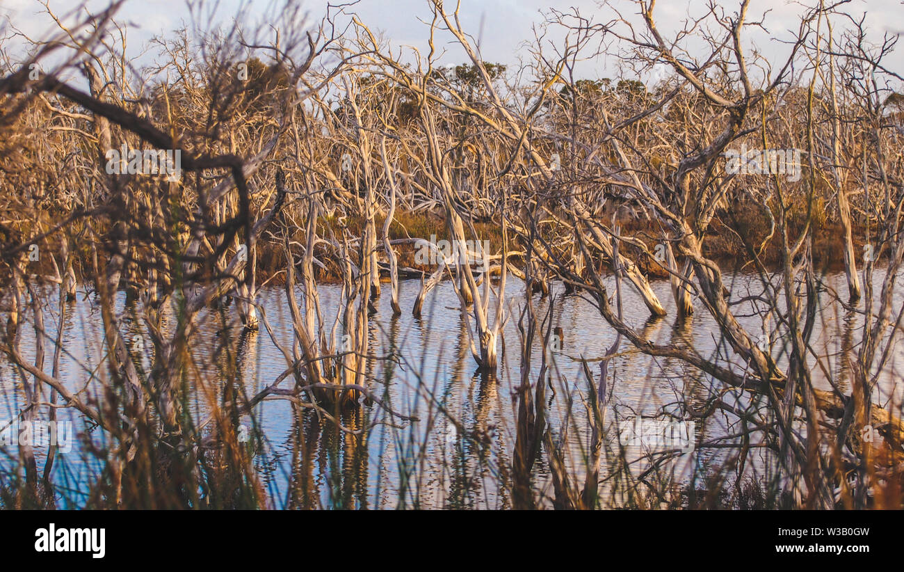 Len Howard Conservation Park near Mandurah, Western Australia Stock ...
